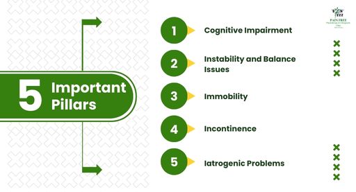 Discover 5 Pillars of Geriatric Patients in Physiotherapy